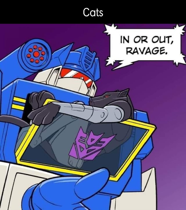 Cats IN OR OUT, RAVAGE. Le - iFunny