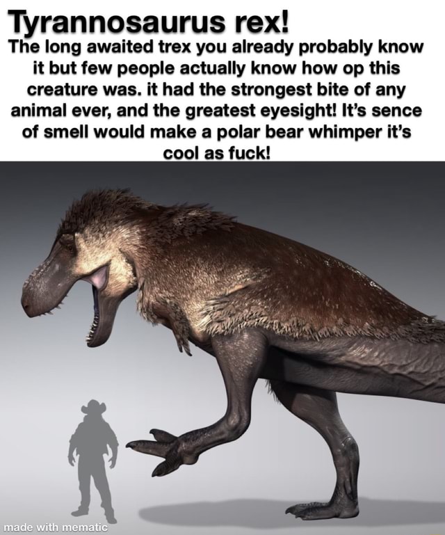 Tyrannosaurus rex! The long awaited trex you already probably know it ...