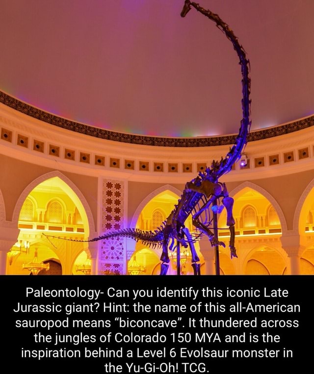 Paleontology- Can you identify this iconic Late Jurassic giant? Hint ...
