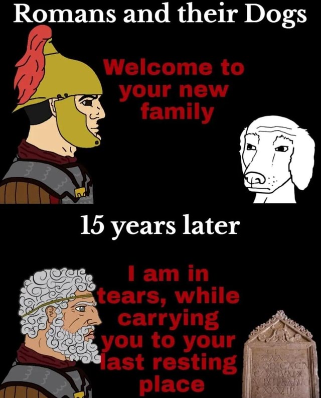 Romans and their Dogs 15 years later - America’s best pics and videos