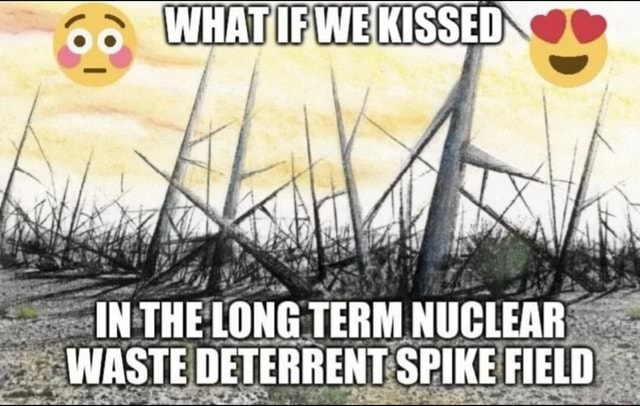 WHAT IF WE IN THE LONG TERM NUCLEAR WASTE DETERRENT SPIKE FIELD - iFunny