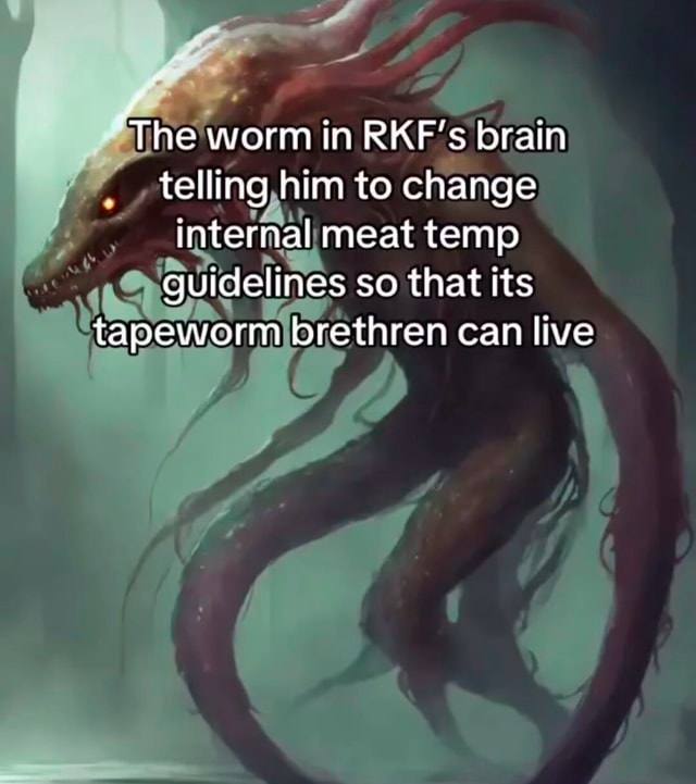 The worm in RKF's brain telling him to change internal meat temp ...
