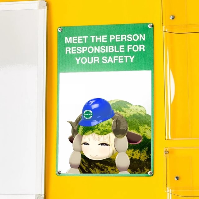 MEET THE PERSON RESPONSIBLE FOR YOUR SAFETY - iFunny