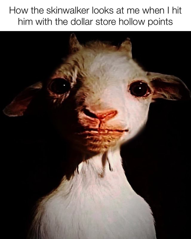 How the skinwalker looks at me when I hit him with the dollar store ...