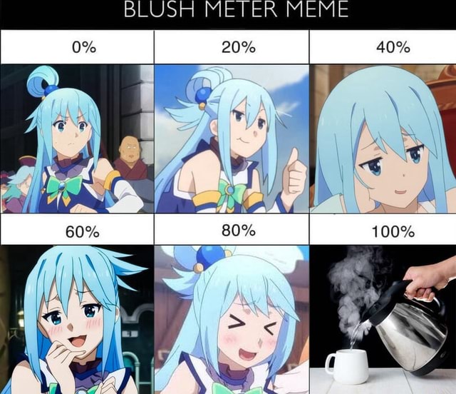 BLUSA METER MEME 20% 100% - iFunny