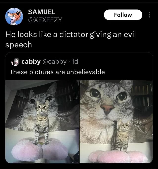 Rule - Rule SAMUEL Foll @XEXEEZY He looks like a dictator giving an ...