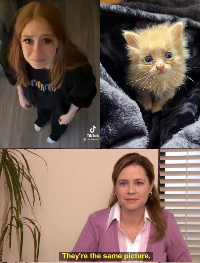 Tik e same picture. [ They're th - iFunny