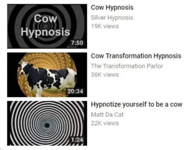 Cow Hypnosis Cow Sil er anosis Hypnosis Cow Transformation Hypnosis ...
