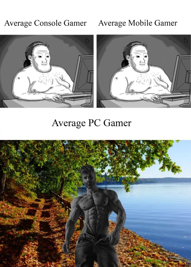 Average Console Gamer Average Mobile Gamer Average PC Gamer - iFunny