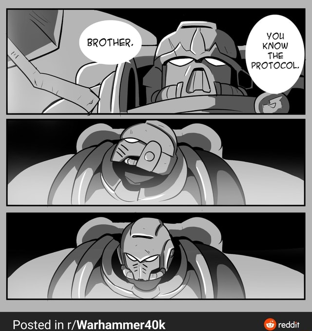 You KNOw SS Ss THE PROTOCOL. we I - \ Posted in @ reddit - iFunny