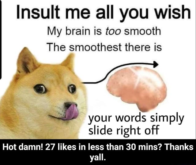 Insult me all you wish My brain is too smooth The smoothest there is Ne ...