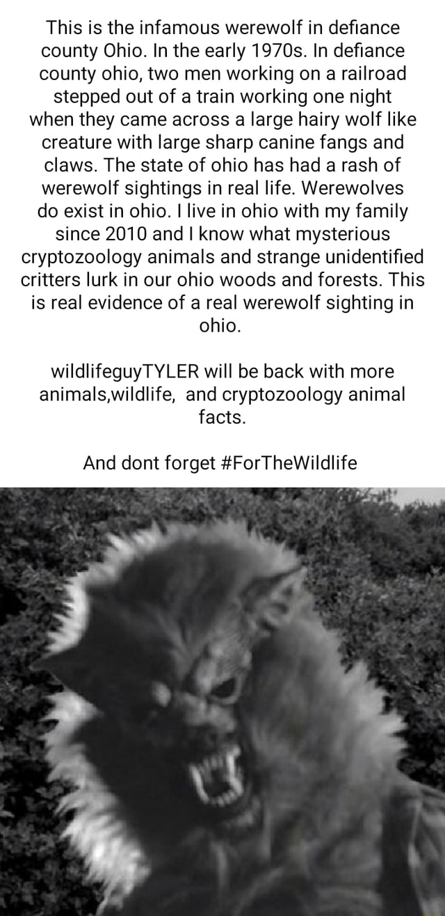 This is the infamous werewolf in defiance county Ohio. In the early ...