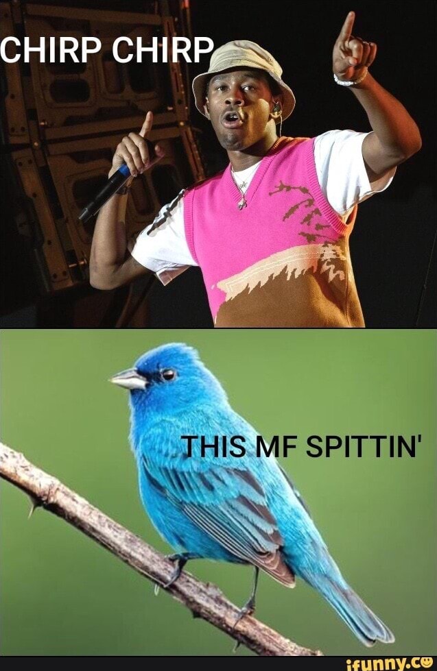 CHIRP CHIRP - iFunny