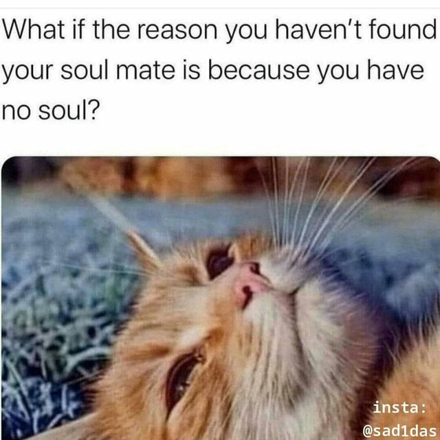 What if the reason you haven't found your soul mate is because you have ...