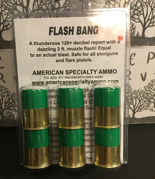 FLASH BANG Athunderous 120+ decibel report With a dazzIing 3 ft. muzzle ...