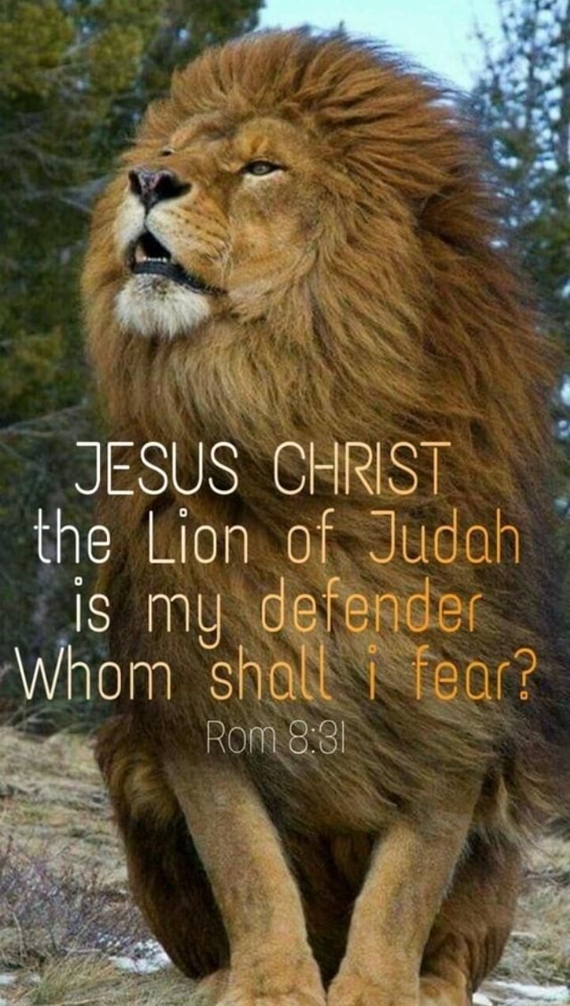 JESUS CHRIST the Lion of Judah is my defender Whom shalt fear? Rom ...