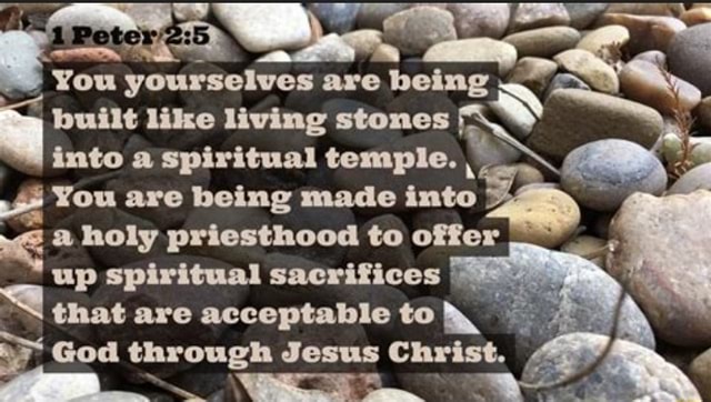 You yourselves are being built like living stones into a spiritual ...