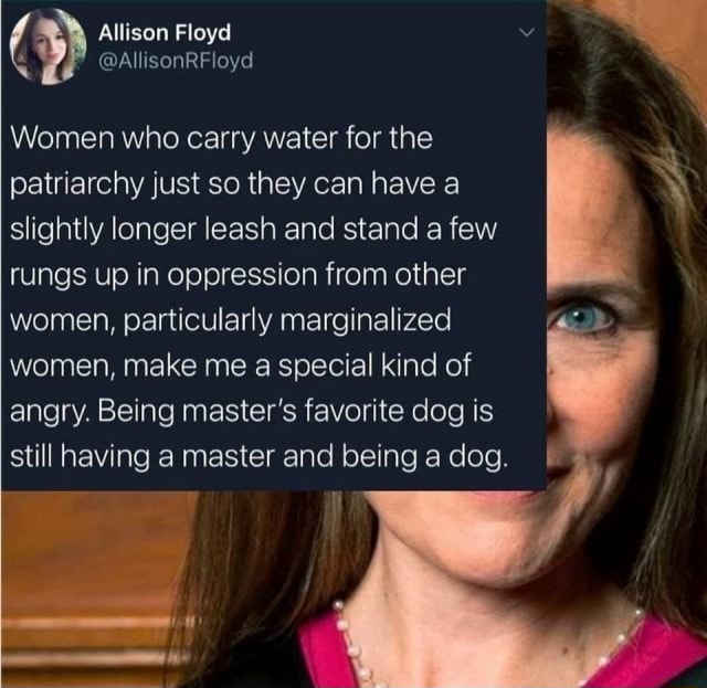 Allison Floyd @aA lisonRFloyd Women who carry water for the patriarchy ...