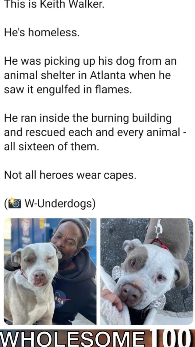 This is Keith Walker. He's homeless. He was picking up his dog from an ...