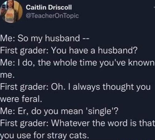 Caitlin Driscoll Me: So my husband First grader: You have a husband? Me ...