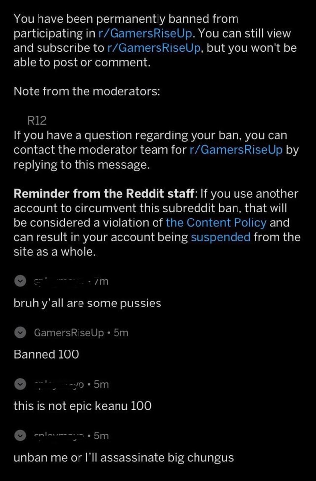 You have been permanently banned from participating in r/GamersRiseUp ...