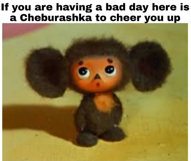If you are having a bad day here is a Cheburashka to cheer you up - iFunny