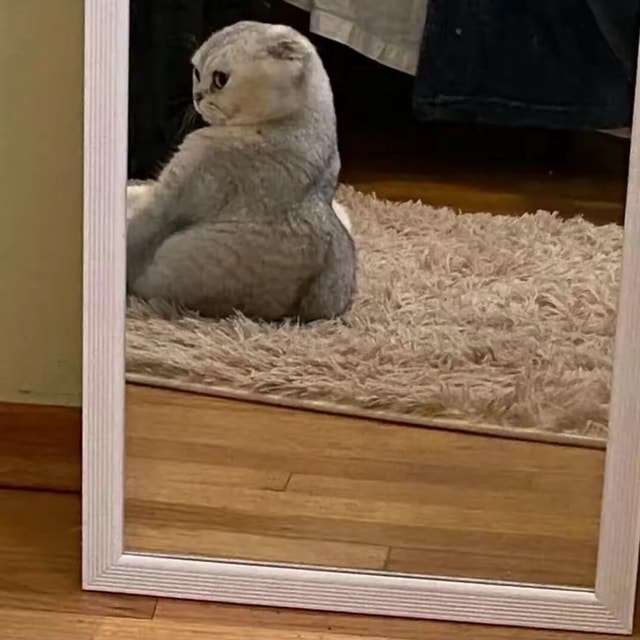 Here’s the shitpost you didn’t ask for pt.114 - America’s best pics and ...