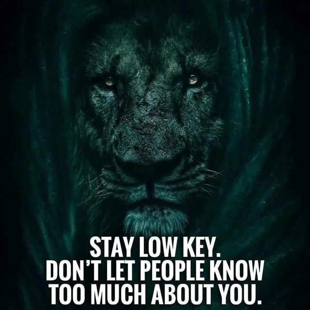 STAY LOW KEY. DON'T LET PEOPLE KNOW TOO MUCH ABOUT YOU. - America’s ...