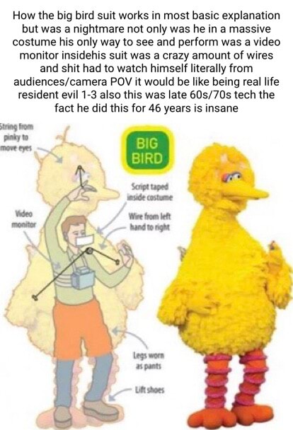 How the big bird suit works in most basic explanation but was a ...