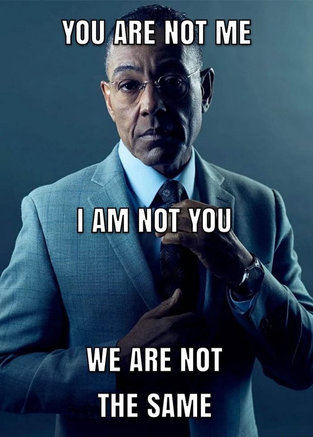 YOU ARE NOT ME I AM NOT YOU WE ARE NOT THE SAME - iFunny