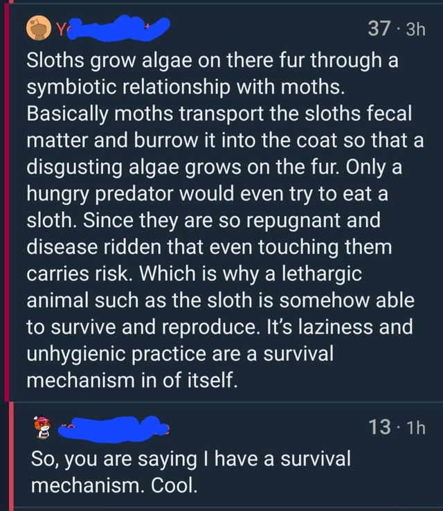 37 Sloths grow algae on there fur through a symbiotic relationship with ...