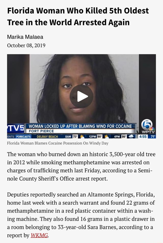 Florida Woman Who Killed 5th Oldest Tree in the World Arrested Again Marika Malaea October 08 ...