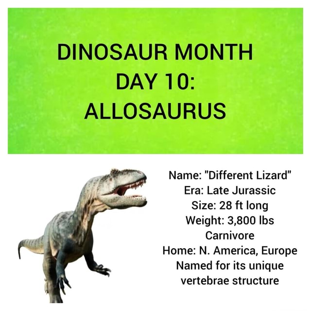 DINOSAUR MONTH DAY 10: ALLOSAURUS Name: "Different Lizard" Era: Late ...