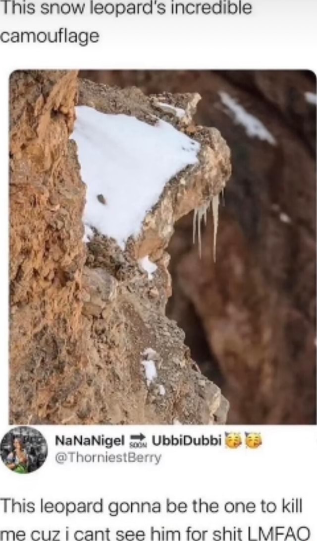 SNOW INCTEGLGIS camouflage gal @ wy This leopard gonna be the one to kill see nim shit - iFunny