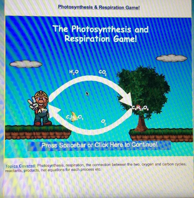 The Photosynthesis and Respiration Game! Topics Covered: Photosynthesis ...
