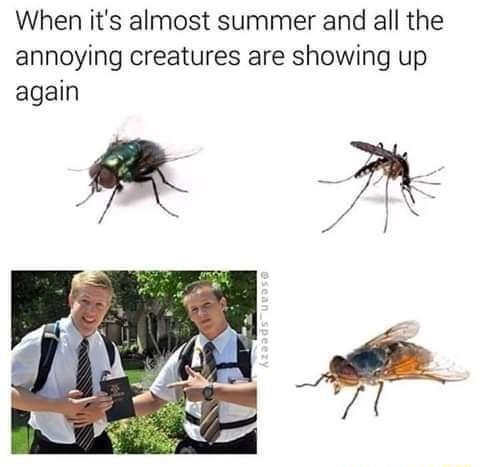 When it's almost summer and all the annoying creatures are showing up ...