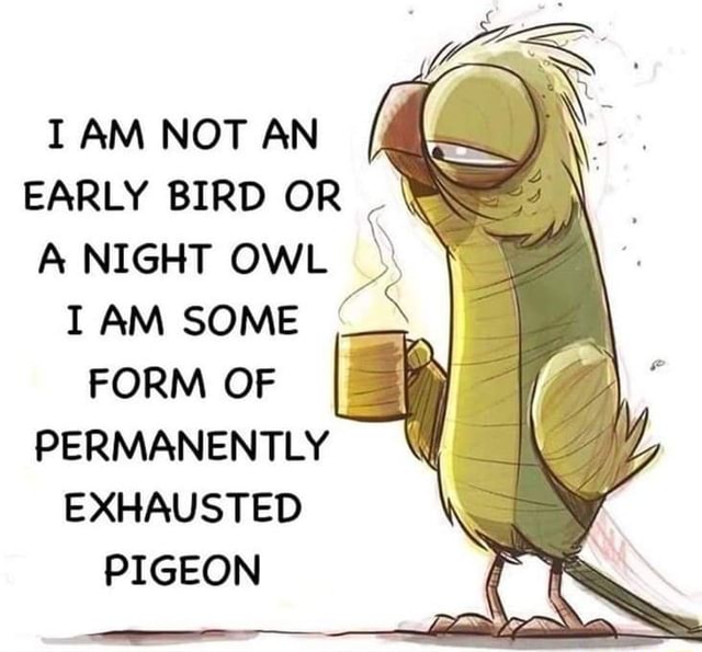 I AM NOT AN EARLY BIRD OR A NIGHT OWL I AM SOME FORM OF PERMANENTLY ...