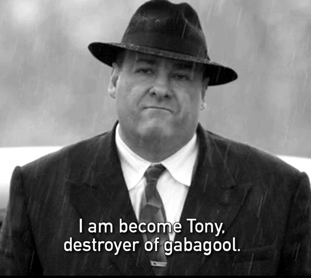 I am become Tony, destroyer of gabagool. - iFunny