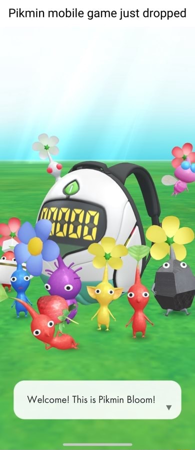 Pikmin mobile game just dropped Welcome! This is Pikmin Bloom! - iFunny