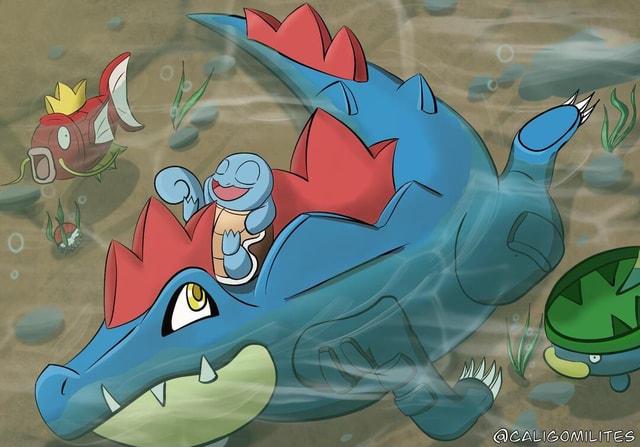 Turtles ride Alligators... So Squirtles do so on Feraligatrs? - wt LNA ...