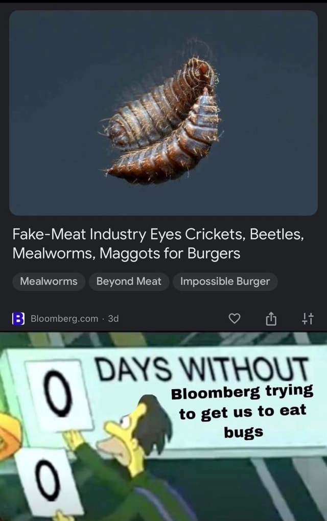 Fake-Meat Industry Eyes Crickets, Beetles, Mealworms, Maggots for ...