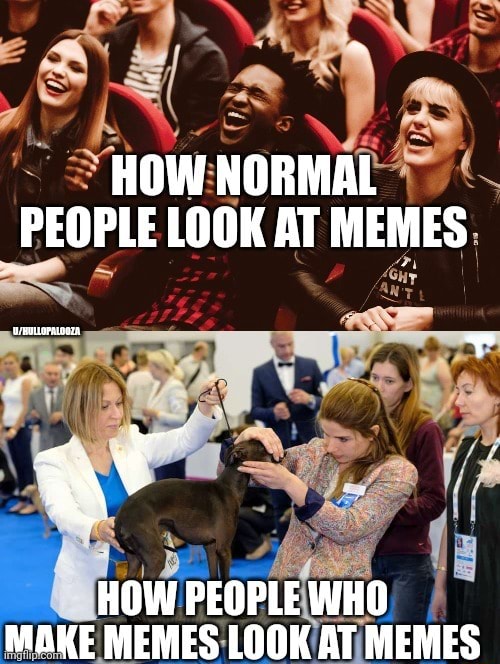 HOW NORMAL PEOPLE LOOK AT MEMES HOW PEOPLE WHO - iFunny