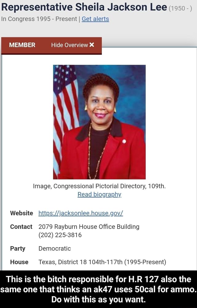 Representative Sheila Jackson Lee In Congress 1995 - Present I Get ...