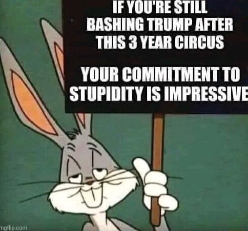 IF YOU'RE STILL BASHING TRUMP AFTER THIS 3 YEAR CIRCUS \ YOUR ...