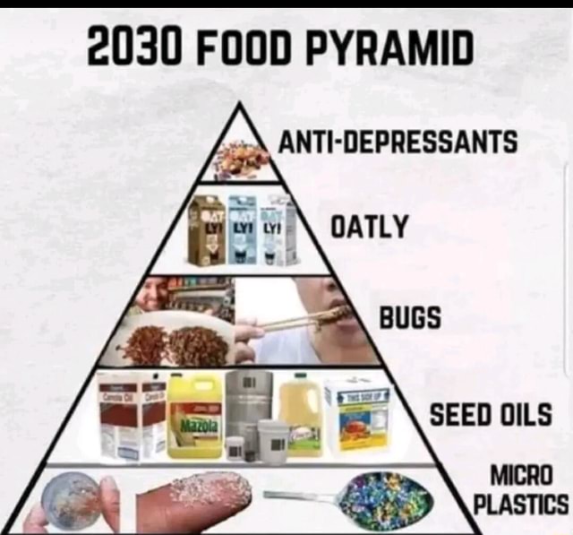 2030 FOOD PYRAMID ANTI-DEPRESSANTS ED OILS MICRO PLASTICS - iFunny