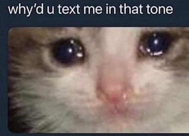 Why'd u text me in that tone - iFunny