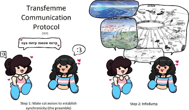 Transfemme Communication Protocol nya mrrp meow ww Step 1: Make cat ...
