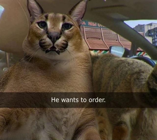 He wants to order. - iFunny Brazil