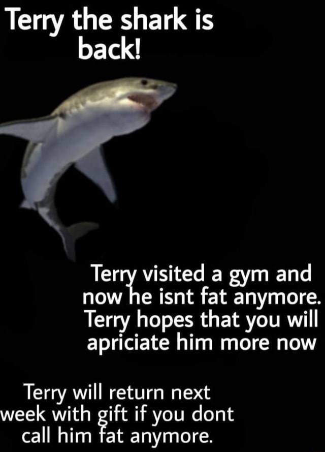 Terry the shark is back! Terry visited a gym and now he isnt fat ...