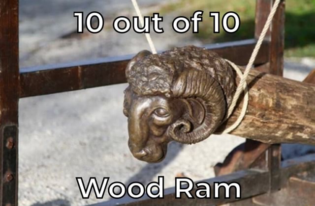 10 out of 10 Wood Ram - iFunny